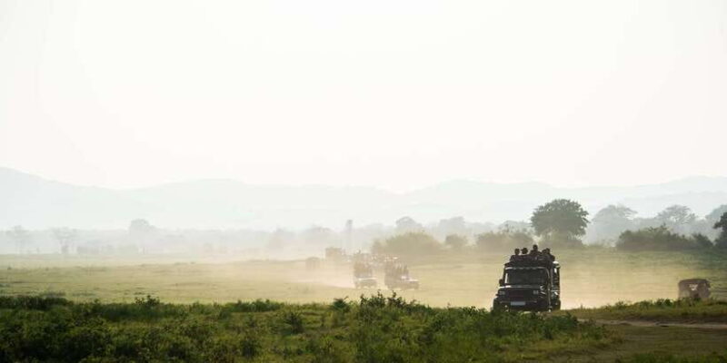Minneriya National Park Safari in a 4x4 - FAQ