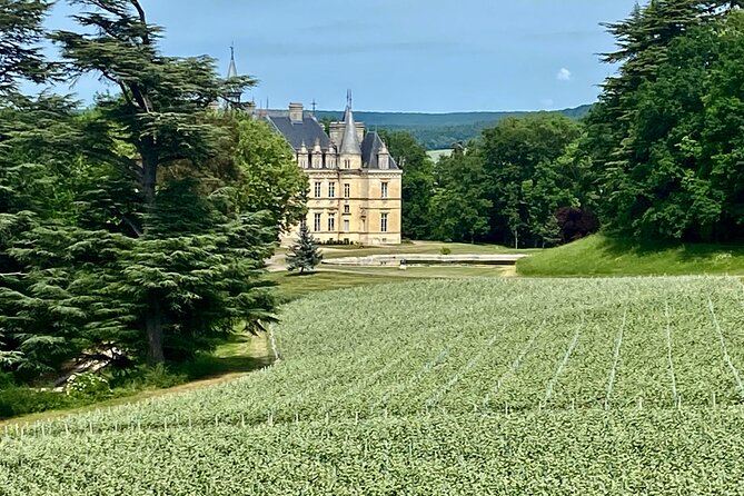 Moet et Chandon Veuve Clicquot Pommery Private Champagne Day trip - Visiting Hautvillers and the Abbey of Saint-Pierre