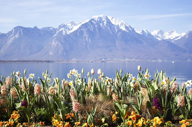 Montreux - Private Walking Tour - The Sum Up
