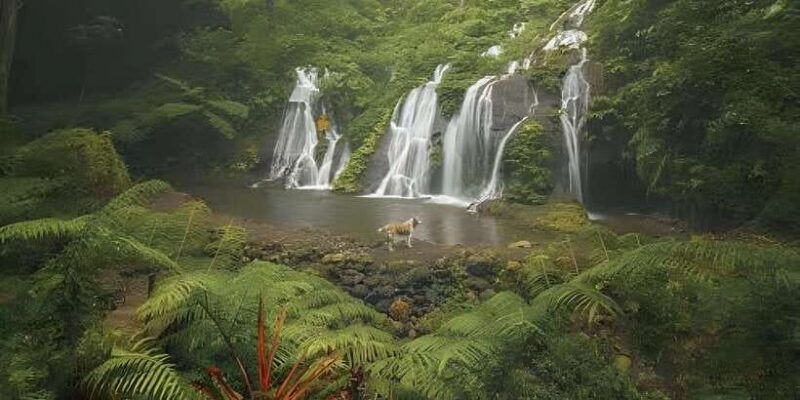 MUNDUK : Jungle Trekking Day Tour - What to Expect During the Trek