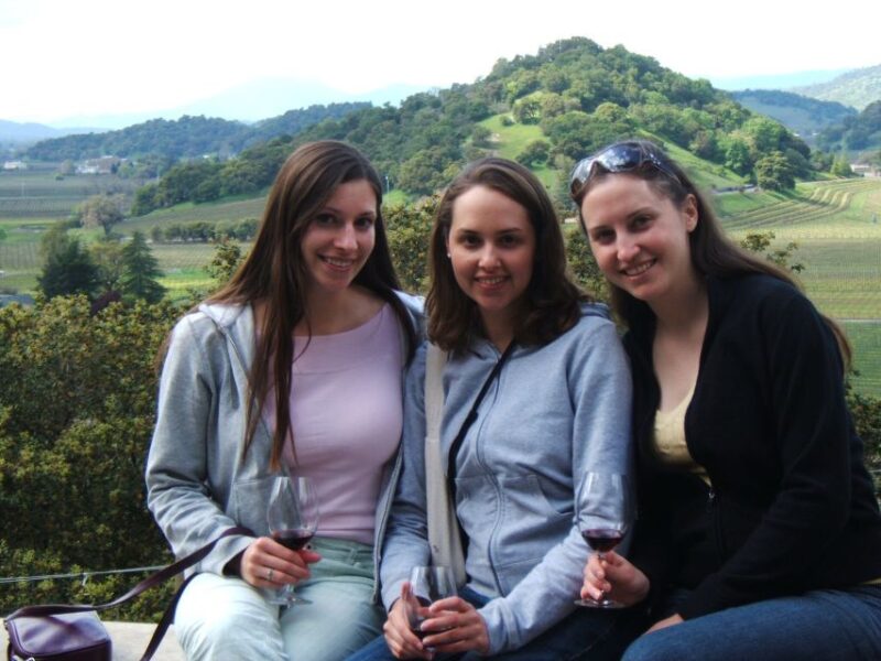 Napa Valley: Guided Wine Tour with Picnic Lunch - The Picnic Lunch: A Highlight