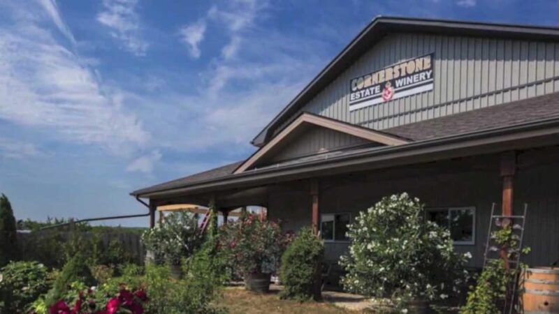 Niagara Falls: Public Niagara Wine Tour with Transportation - The Sum Up