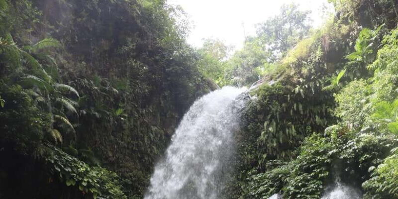 North Lombok: Sendang Gile Waterfall & Senaru Village Tour - Practical Details and Value