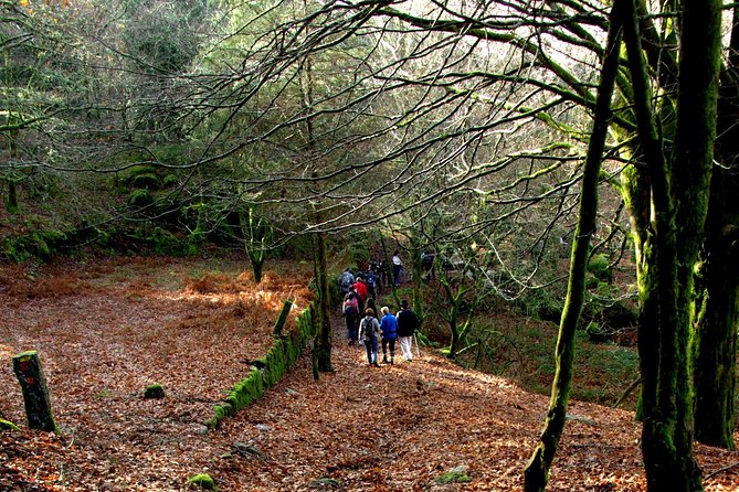 Nozzle Horn Protected Landscape Area - FAQ