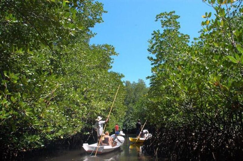 Nusa Lembongan Tour: Island and Mangrove Adventure - Who Will Love This Tour?