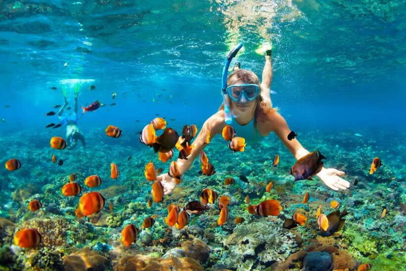 Nusa Penida: Snorkeling Trip with Manta Rays From Bali - The Value of This Tour