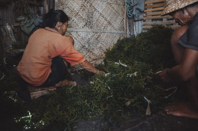 Nusa Penida: Sustainable Seaweed Farming & East Tour - FAQ