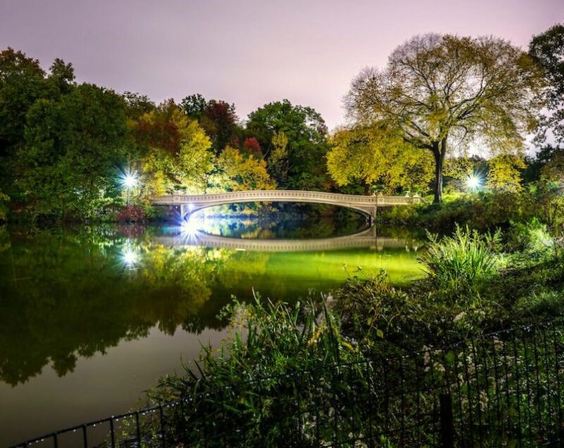 NYC Private Central Park Horse Carriage Ride with Guide - Practical Tips for Travelers