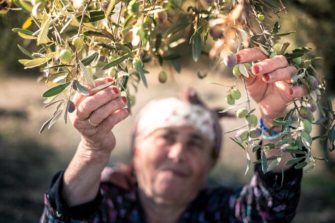 Olive Oil Private Tour in Portugal - Exploring Olhão’s Downtown