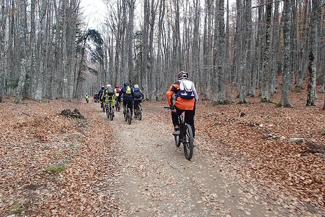 Olympus Mountain Biking - Rides tailored to you - In-Depth Look at the Olympus Mountain Biking Tour