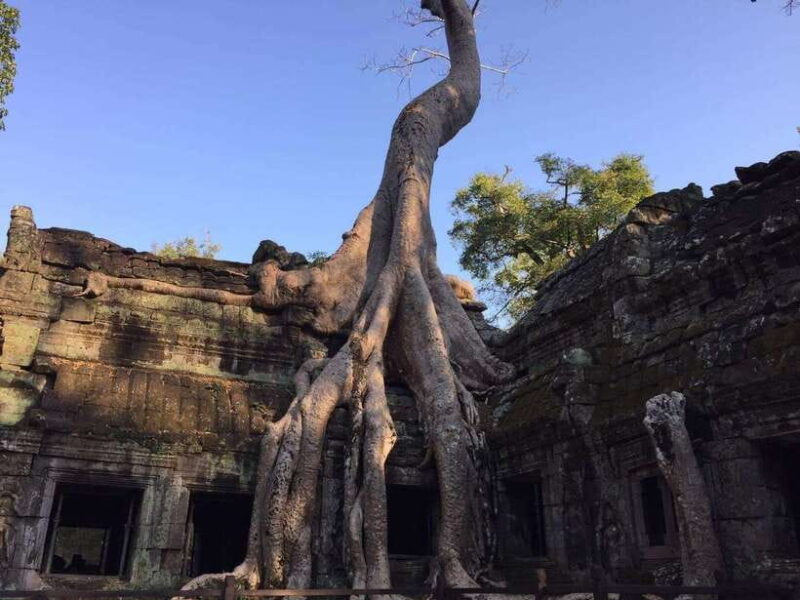One-Day Small Circuit Tour: Angkor Wat, Bayon, Ta Prohm - Price & What’s Included