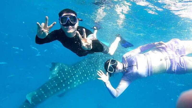 Oslob: Whale Shark Swim & Aguinid Falls Canyoneering Tour - Practical Considerations