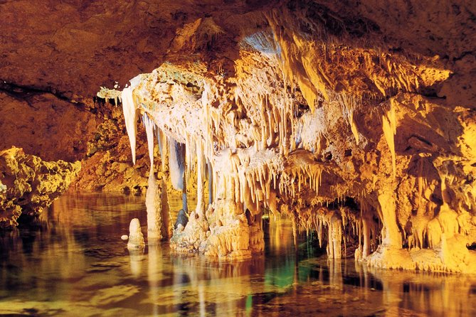 Palma de Mallorca Half-Day to Caves of Hams, Blue Cave and film - Authentic Experiences and What You’ll Take Away