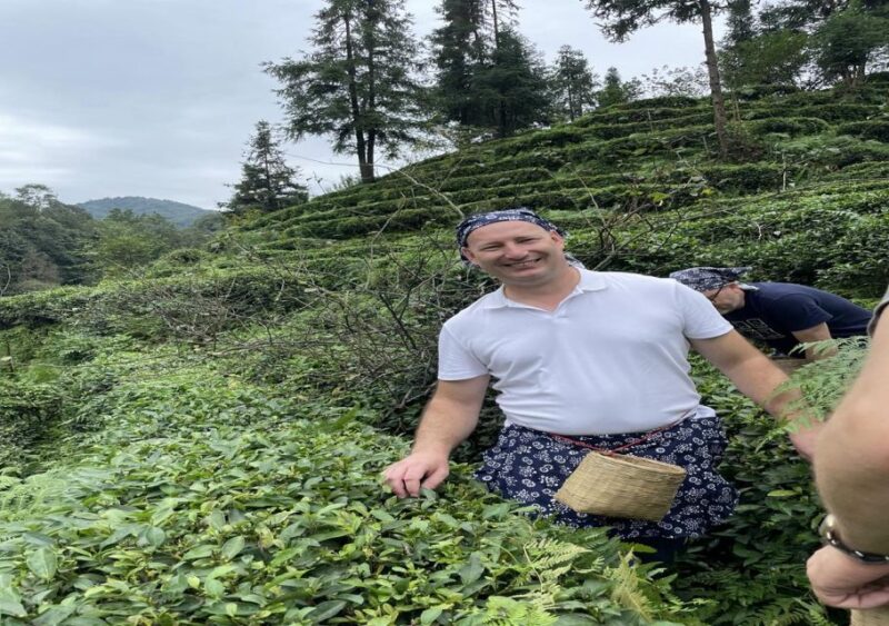 Panda and Green Tea Making tour - Practical Tips for the Tour