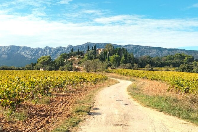 Peaceful Day Experiencing the Authentic Countryside Like a Local - Who Will Enjoy This Tour Most?