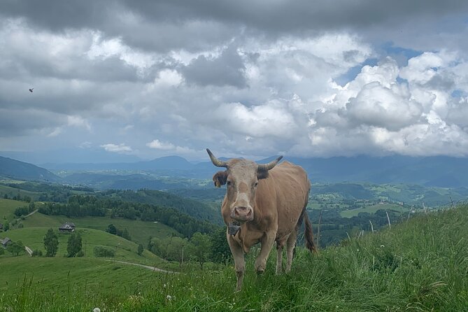 Peles castle and authentic Romanian village experience - day trip - FAQs
