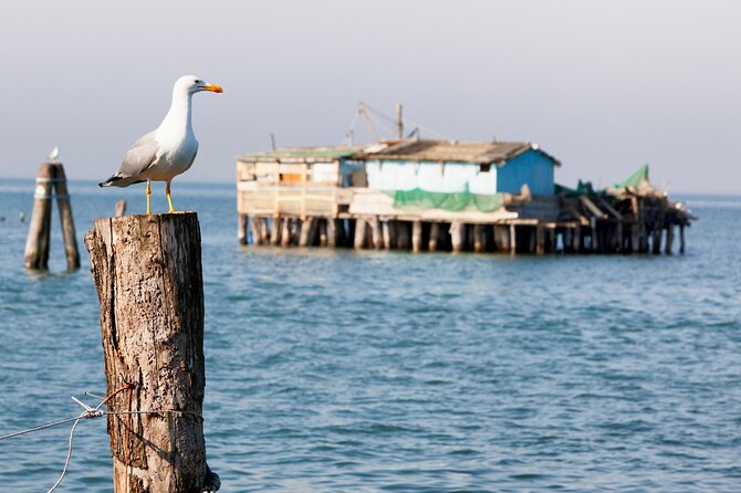 Pellestrina: Bike Hopping Around the Venice Lagoon Islands - Frequently Asked Questions