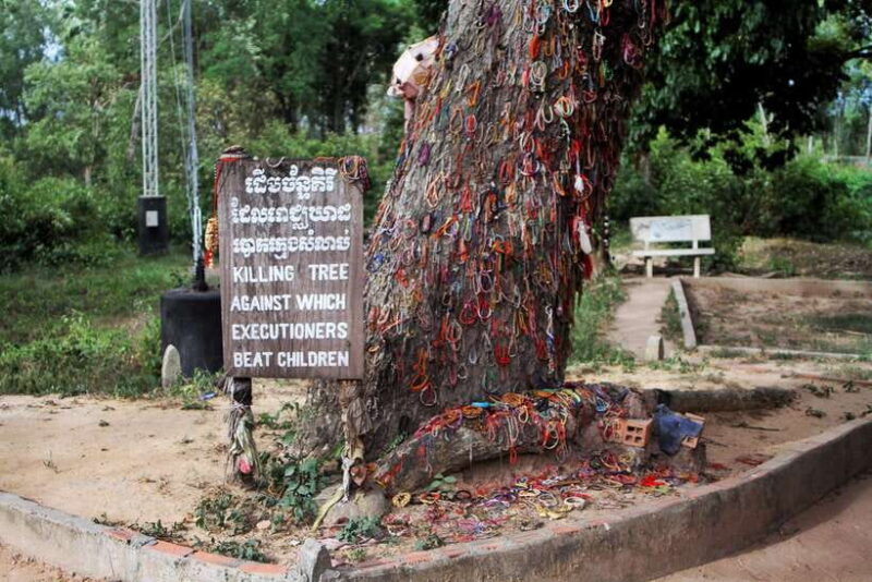 Phnom Penh :S21 Tuol Sleng Museum & Killing Field with Lunch - Who Should Consider This Tour?