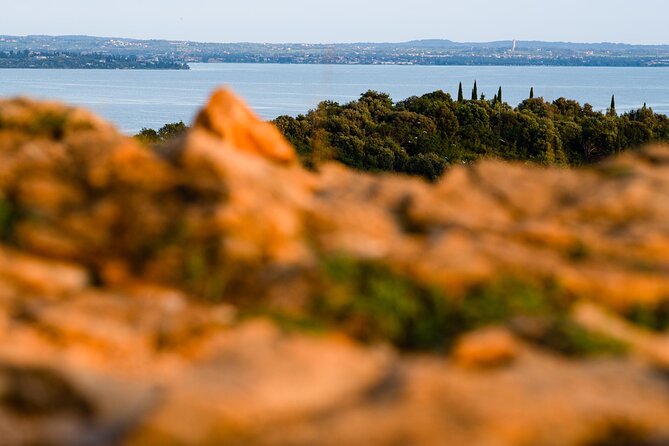 Photographic tour at sunset on Lake Garda - Authentic Perspectives from Participants