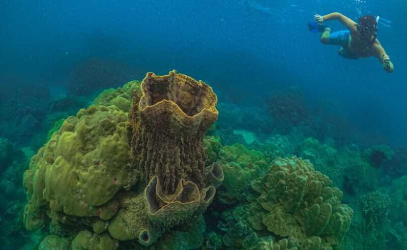 Phu Quoc : Scuba Diving and Parasailing at Roi Island - What Other Travelers Say