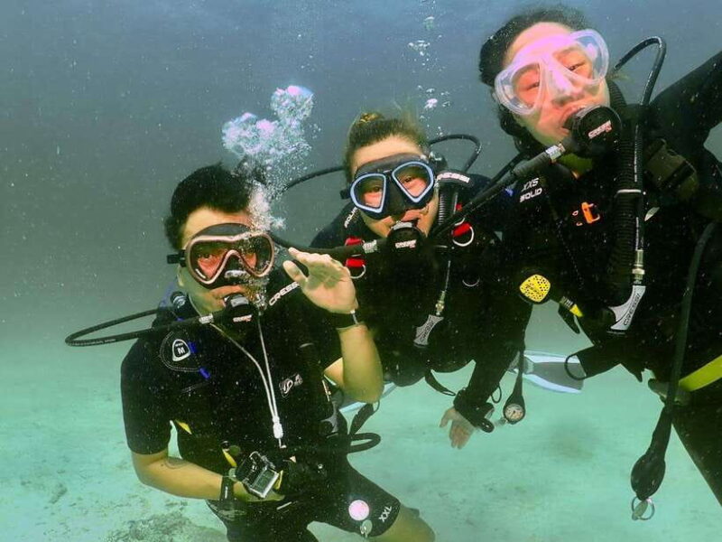 Phuket: 3 Dive Koh Phi Phi/Shark Point Scuba Diving Day Trip - Practical Tips for Travelers