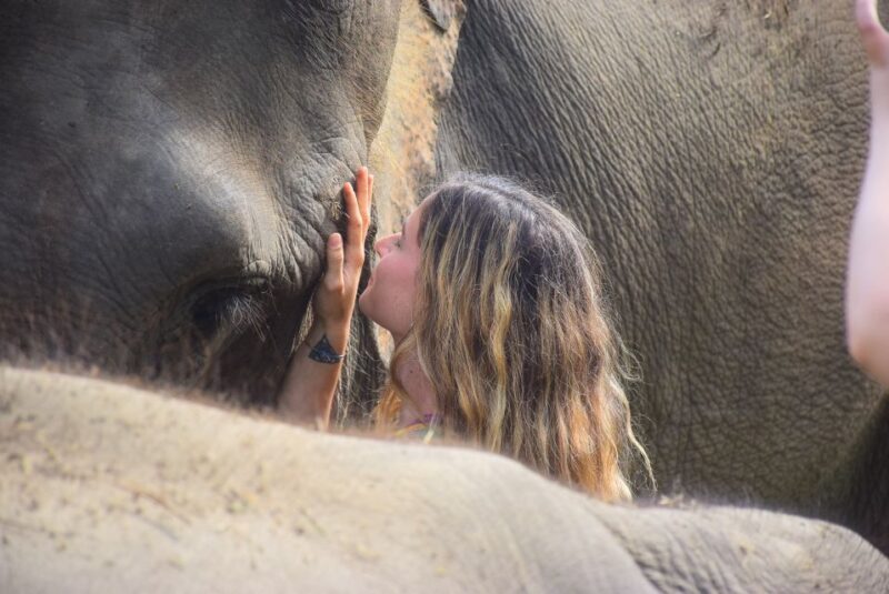 Phuket: Elephant Save & Care Program Tour - Transportation and Group Size