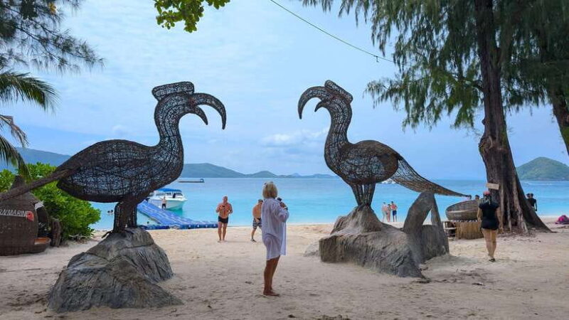 Phuket: Private Longtail Boat to Koh Hey (Coral Island) - Who This Tour Is Perfect For