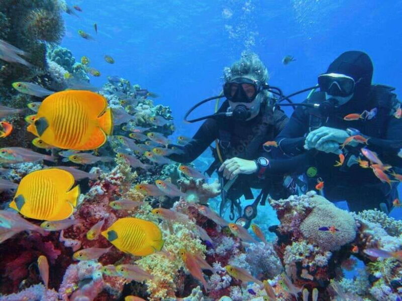 Phuket: Racha Island and Coral Islands + Scuba Beach Dive - What’s Included and What’s Not
