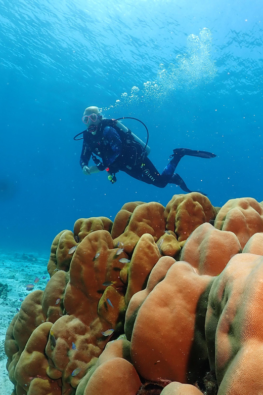 Phuket: Try SCUBA DIVING Full Day Experience 3 Dives - Final Thoughts: Is This Tour Right for You?