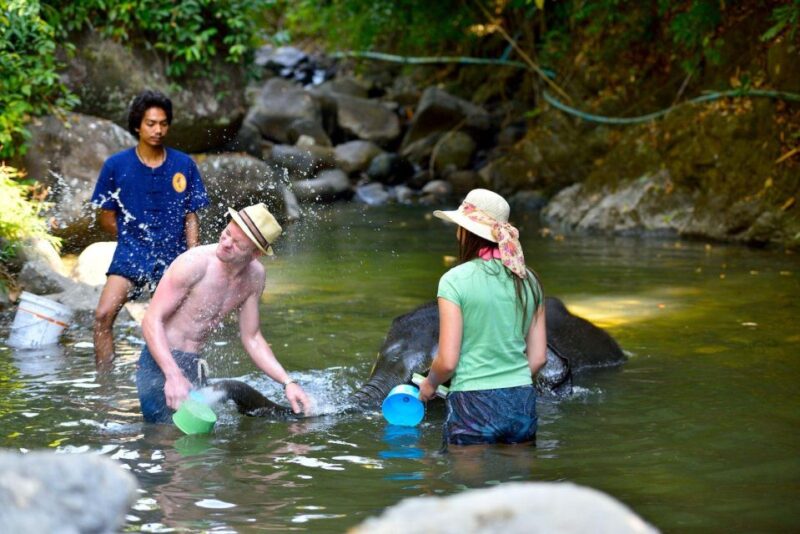 Phuket: White Water Rafting, Zipline, and Elephant Sanctuary - Who Should Consider This Tour