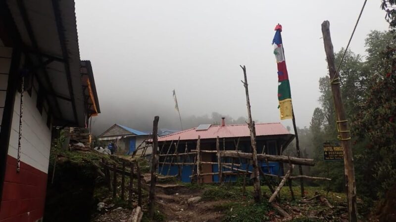 Pokhara: 5-Day Mardi Himal Base Camp Trek with Transfers - Day 3: Sunrise at the Viewpoint and Descent