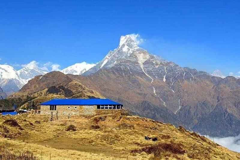 Pokhara: 5-Day Mardi Himal Trek with Guide - The Value in Context