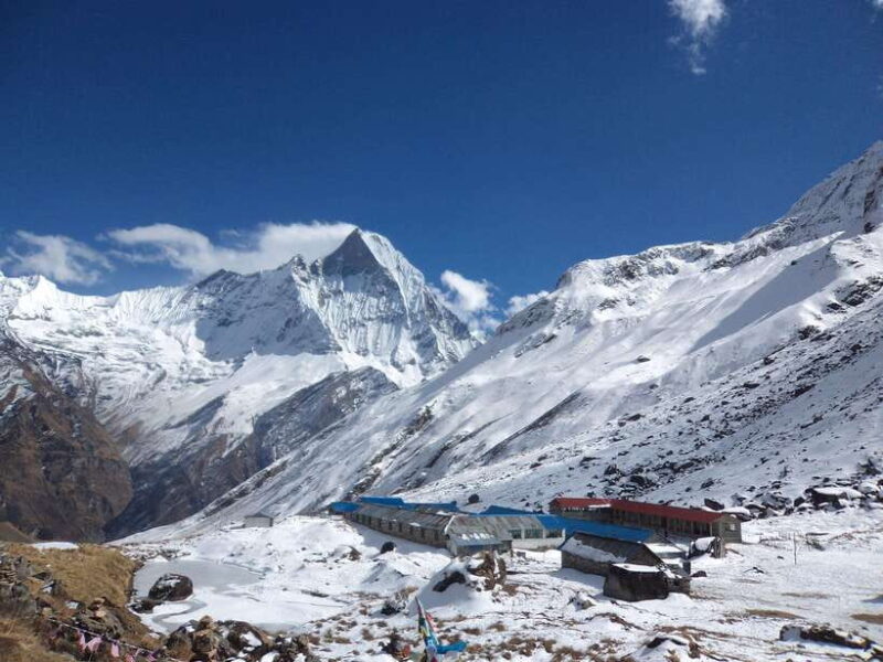 Pokhara : 7 - Day Annapurna Base Camp Trek with Hot Spring - Authentic Experiences and What Travelers Say