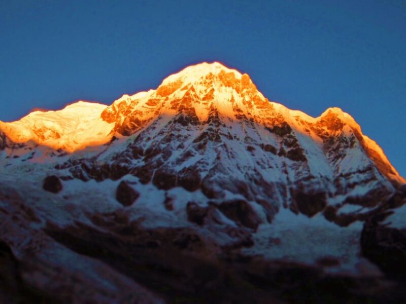 Pokhara: 7-Day Trek to Annapurna Base Camp and Hot Springs - Day 5: From Annapurna Base Camp to Bamboo