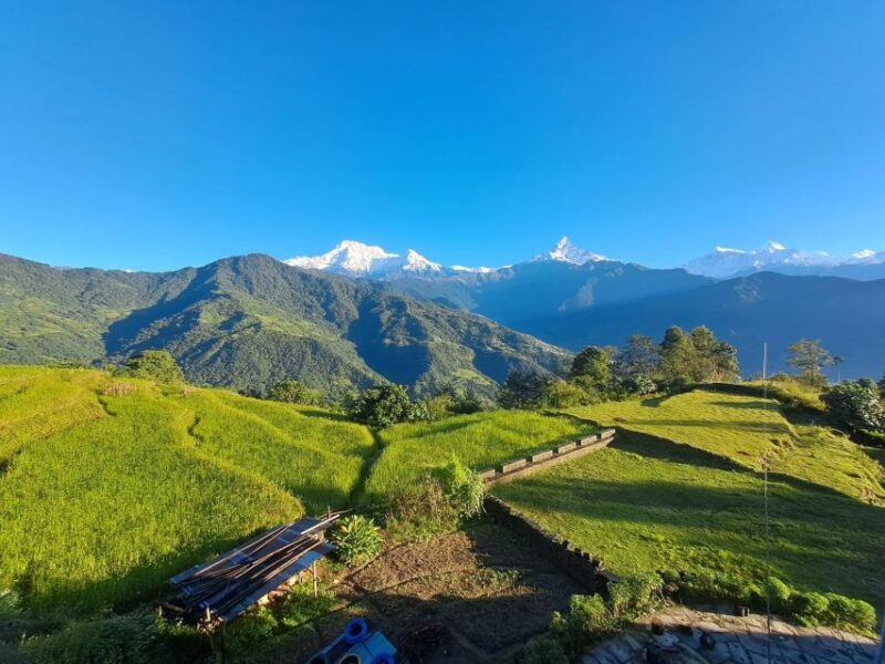 Pokhara: Australian Camp & Dhampus Village Group Join Hike - FAQs