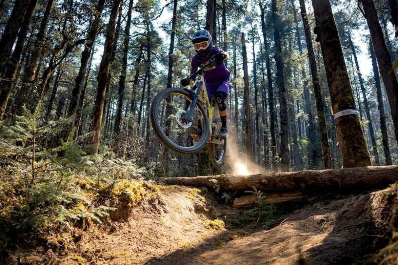 Pokhara: Peace Pagoda to Pokhara Downhill Mountain Bike Ride - Considerations and Who This Tour Is For
