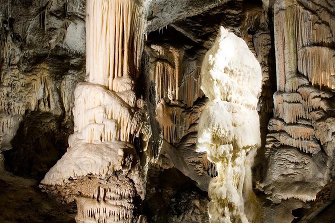 Postojna Cave and Predjama Castle - Private Tour from Trieste - The Bottom Line: Who’s This Tour For?