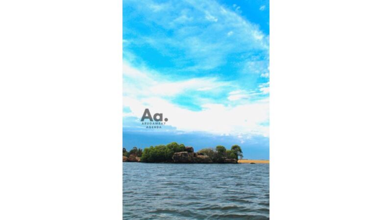 Pottuvil Lagoon Eco Tour : Mangrove Adventure in Arugam Bay - Authentic Experiences and What You’ll Remember