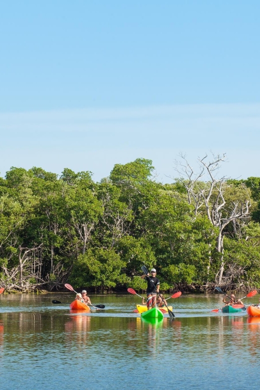 Premium Day Sail, Snorkel &, Kayak with Lunch - Final Thoughts: Is It Worth It?