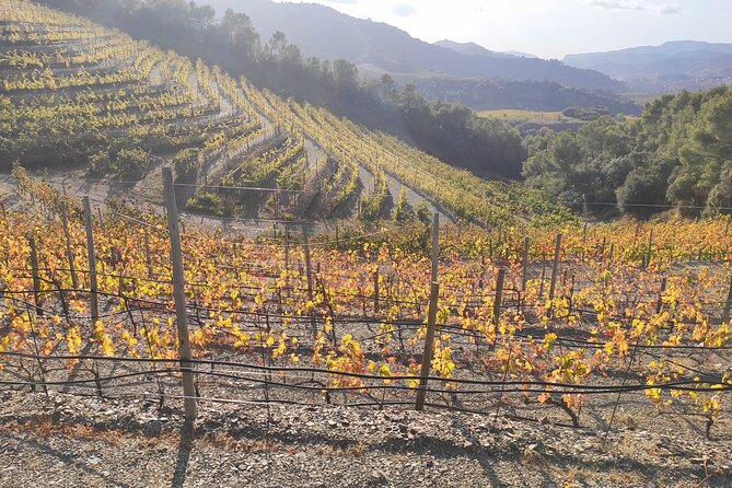 PRIORAT MEDIEVAL PRIORAT Full Day Tour Siurana and Escala Dei - What’s Missing? Considerations for Travelers