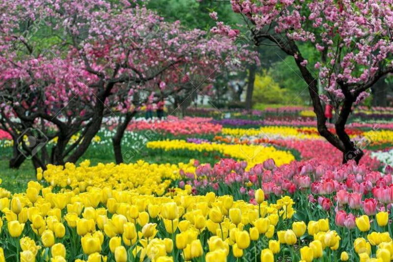 Private Customized Beijing Garden Tour - What the Tour Includes and Why It’s a Good Deal
