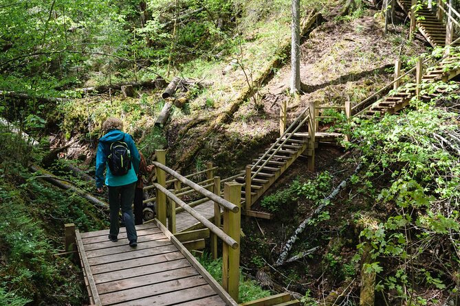 Private Full-Day Hiking Tour in Sigulda and Gauja National Park - Final Thoughts: Is This Tour for You?