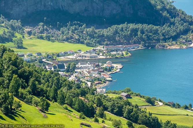 Private guided tour to Oslo - Nærøyfjord Cruise & Flåm Railway - FAQ