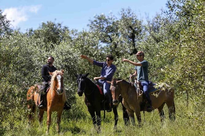 Private Palm Beach Picnics, Toscana - Who Will Love This Experience?