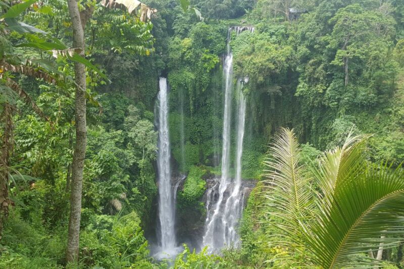 Private Sekumpul Waterfall Hiking Tour - Practicalities and Tips for Future Travelers