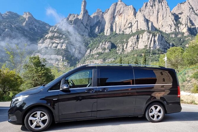 Private Self-Guided Tour in Barcelona by Minibus for 15 Passengers - FAQ