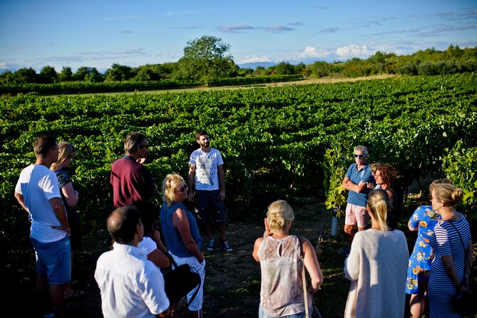 Private Tour ibenik, Krka Waterfalls & Wine tasting - FAQ