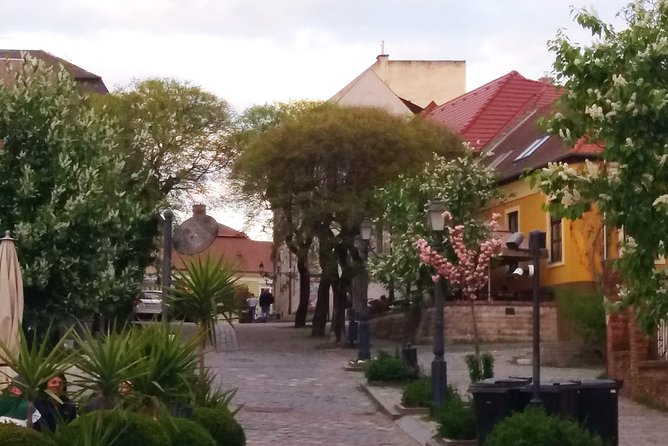 Private tour in Vác by local guide - Magical vibe of an charming baroque town - The Value of the Experience
