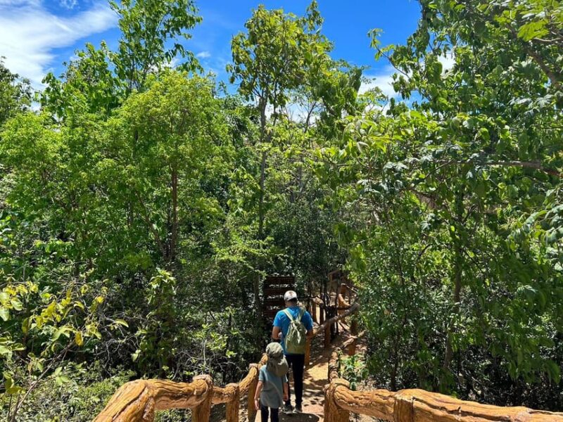 Private Tour Pha Chor Canyon & Doi Inthanon National Park - FAQ