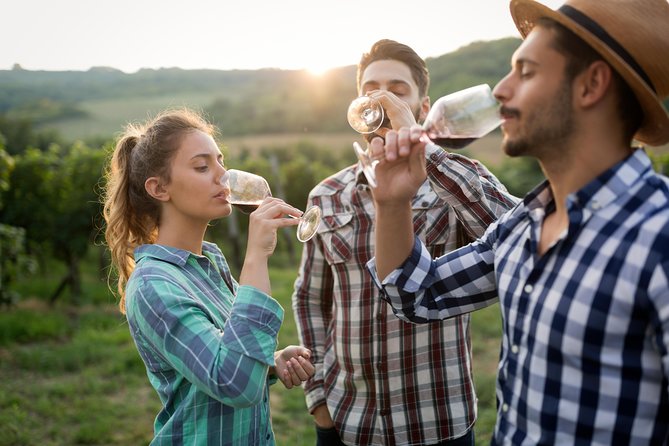 Private Tour: Pompeii & Wine Tasting at the Slopes of Mt Vesuvius - Who This Tour Is Best For